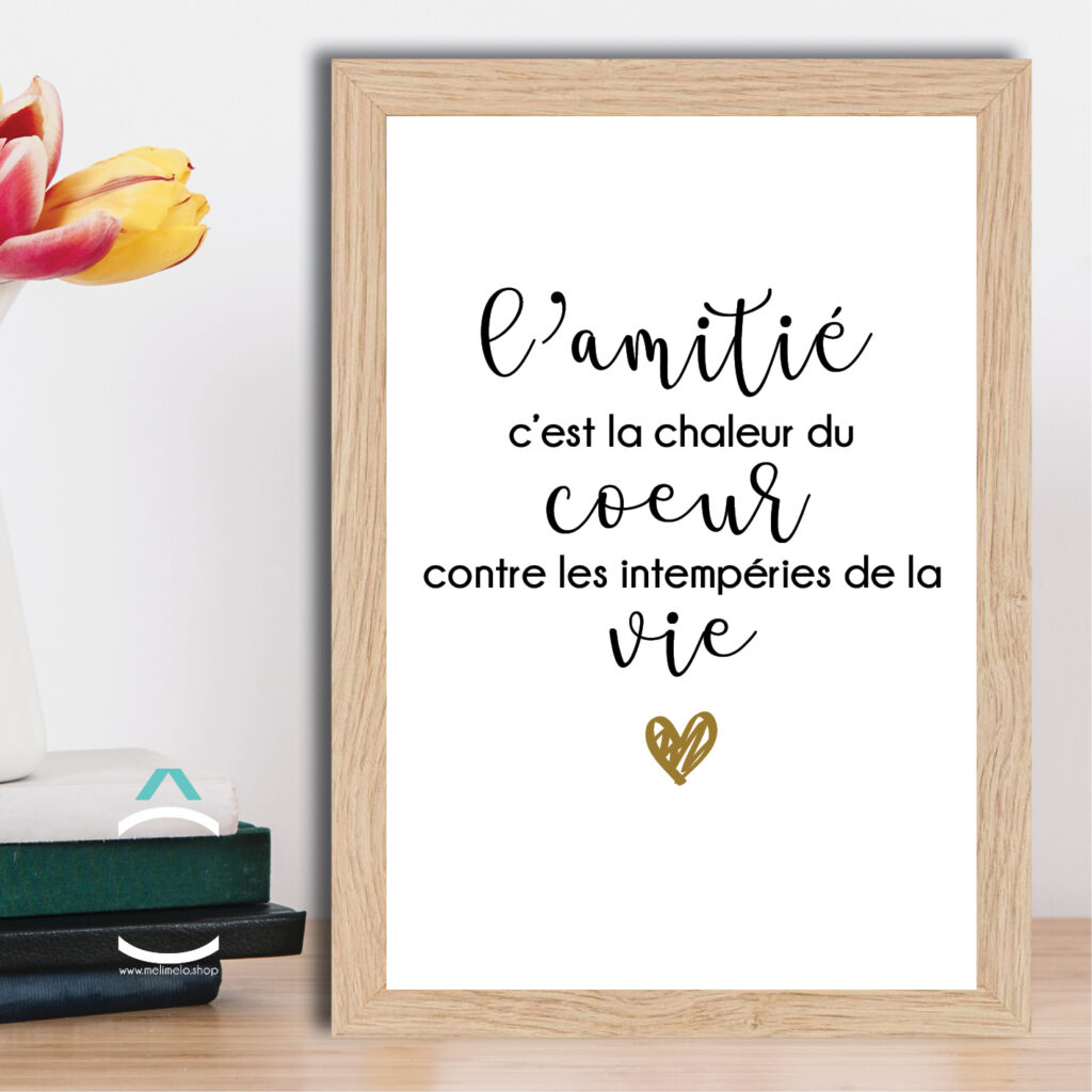 Cadre personnalisable – L’amitié c’est la chaleur du coeur contre les ...